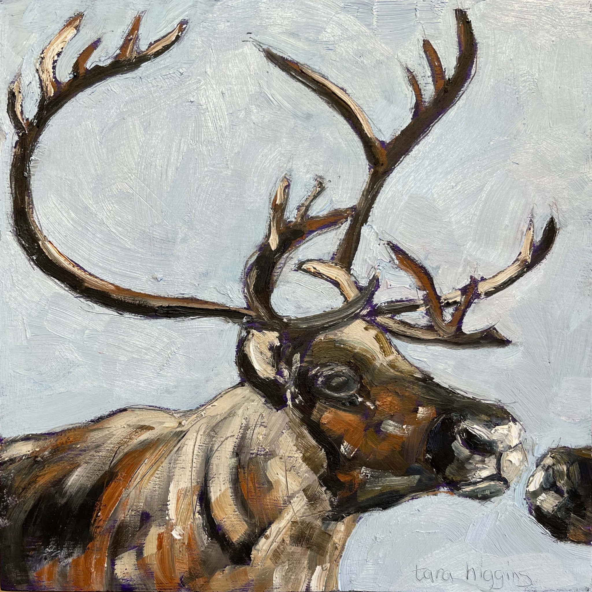 GALLERY | Tara Higgins